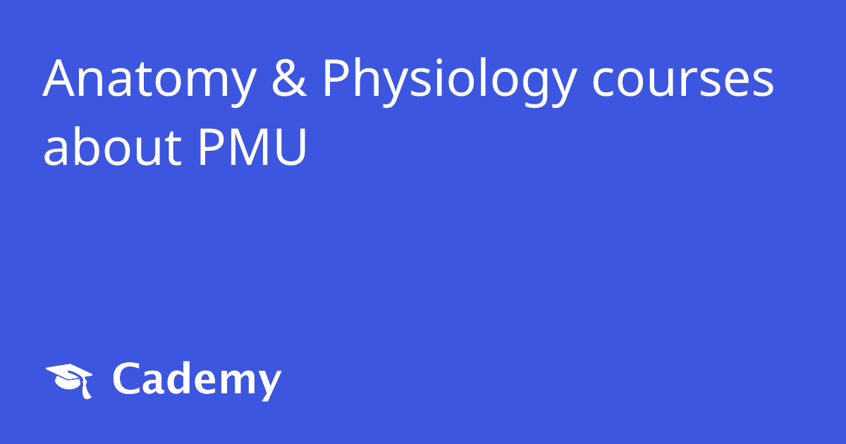 Anatomy & Physiology courses about PMU - Cademy