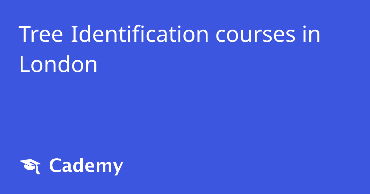 Tree Identification courses in London - Cademy